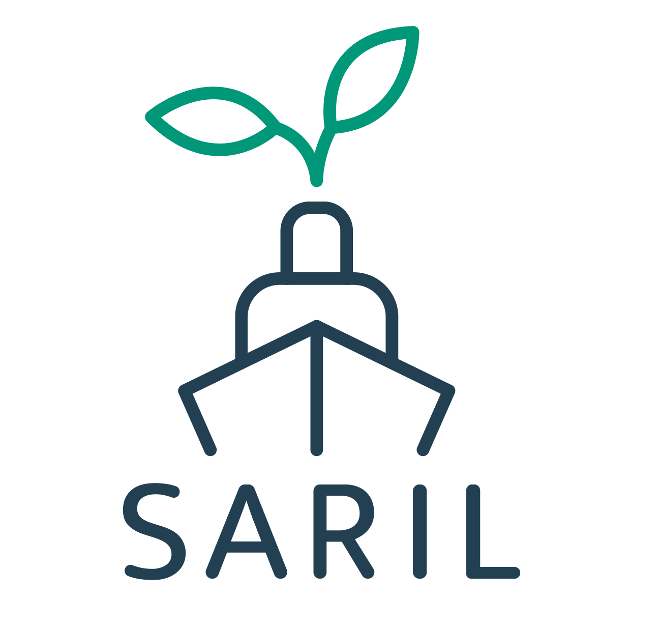 Course: SARIL - Sustainability And Resilience for Infrastructure and Logistics networks ...